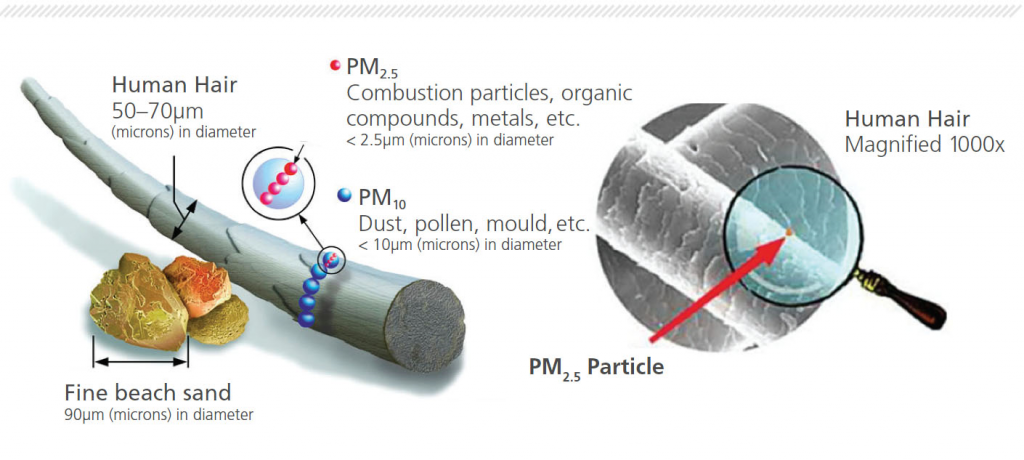Particulate Matter 2.5 – IAS4Sure
